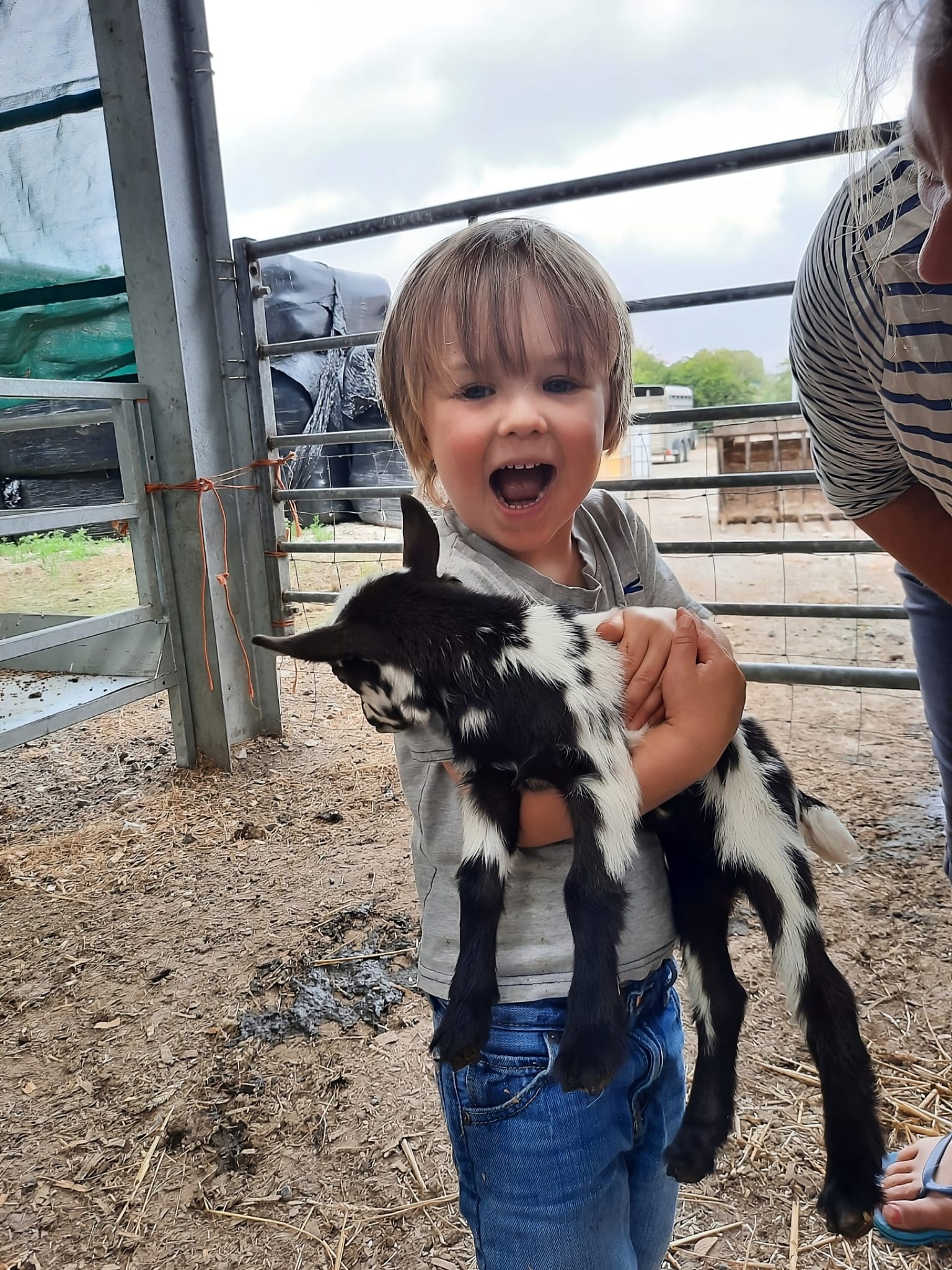 Welcome to our family farm – Dewflock Farm